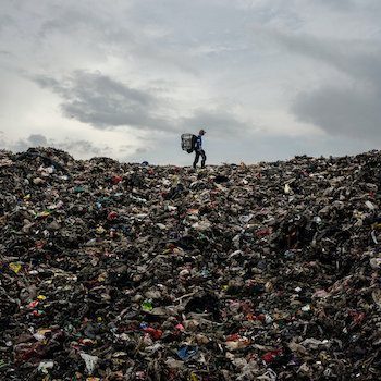 Garbage In, Garbage Out? - Science for Everybody